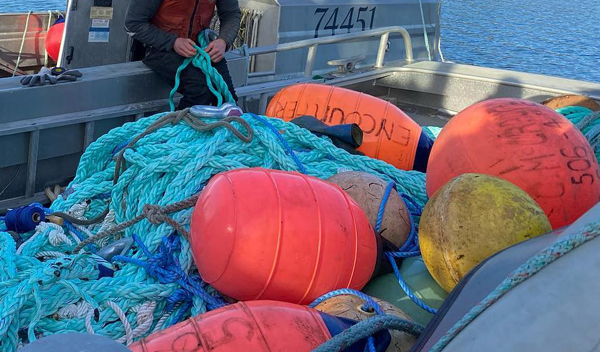 Oyster /Kelp / Seaweed Cultivation Mooring - Qingdao Waysail Ocean ...