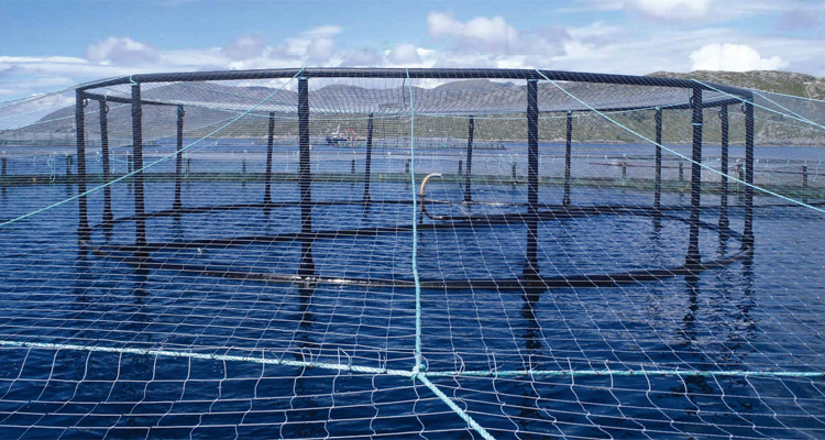 Heavy Duty Fish Cage Bird Net Support Wheels For Salmon Fish Farming ...