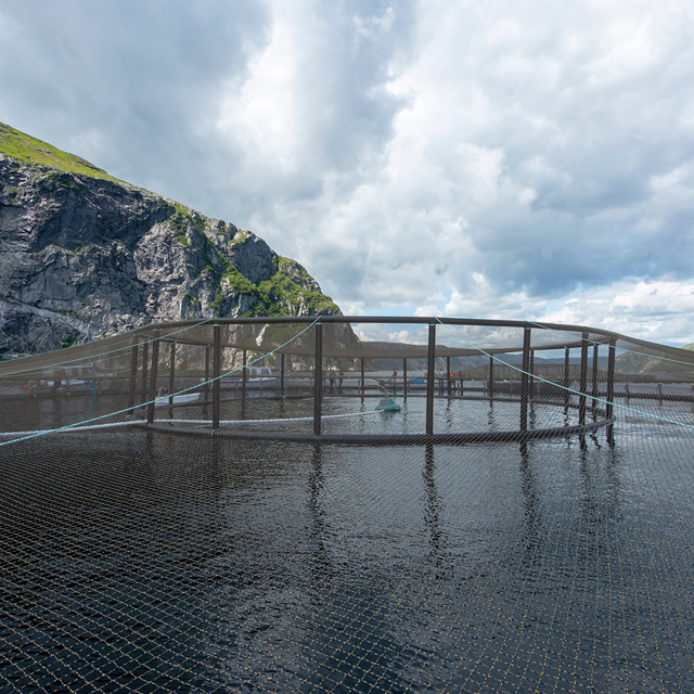 Heavy Duty Fish Cage Bird Net Support Wheels For Salmon Fish Farming ...